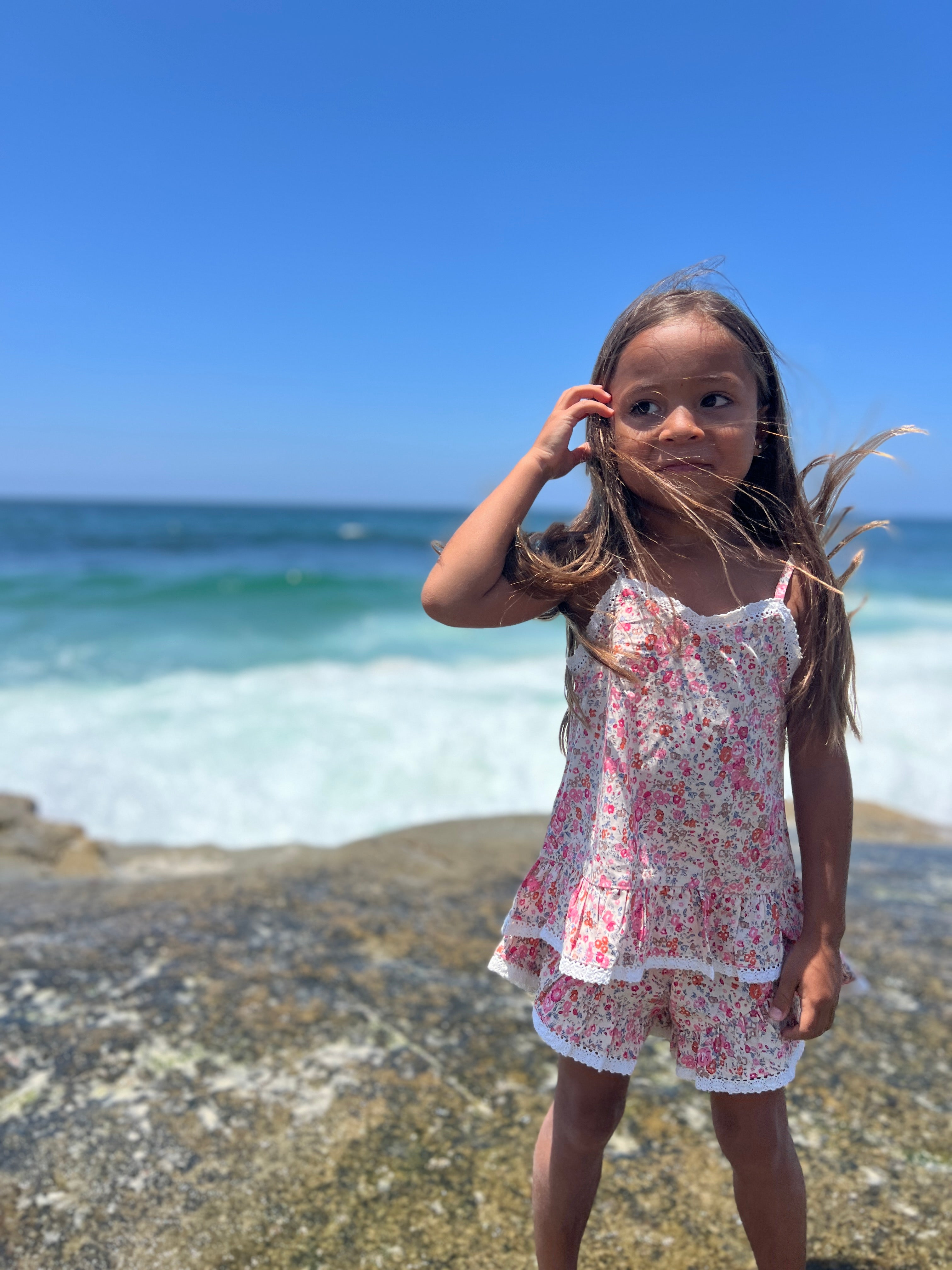 Vignette – vignette